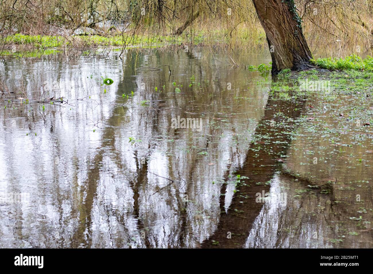 Flooded river after heavy storm rainfall flooding adjacent farmland ...