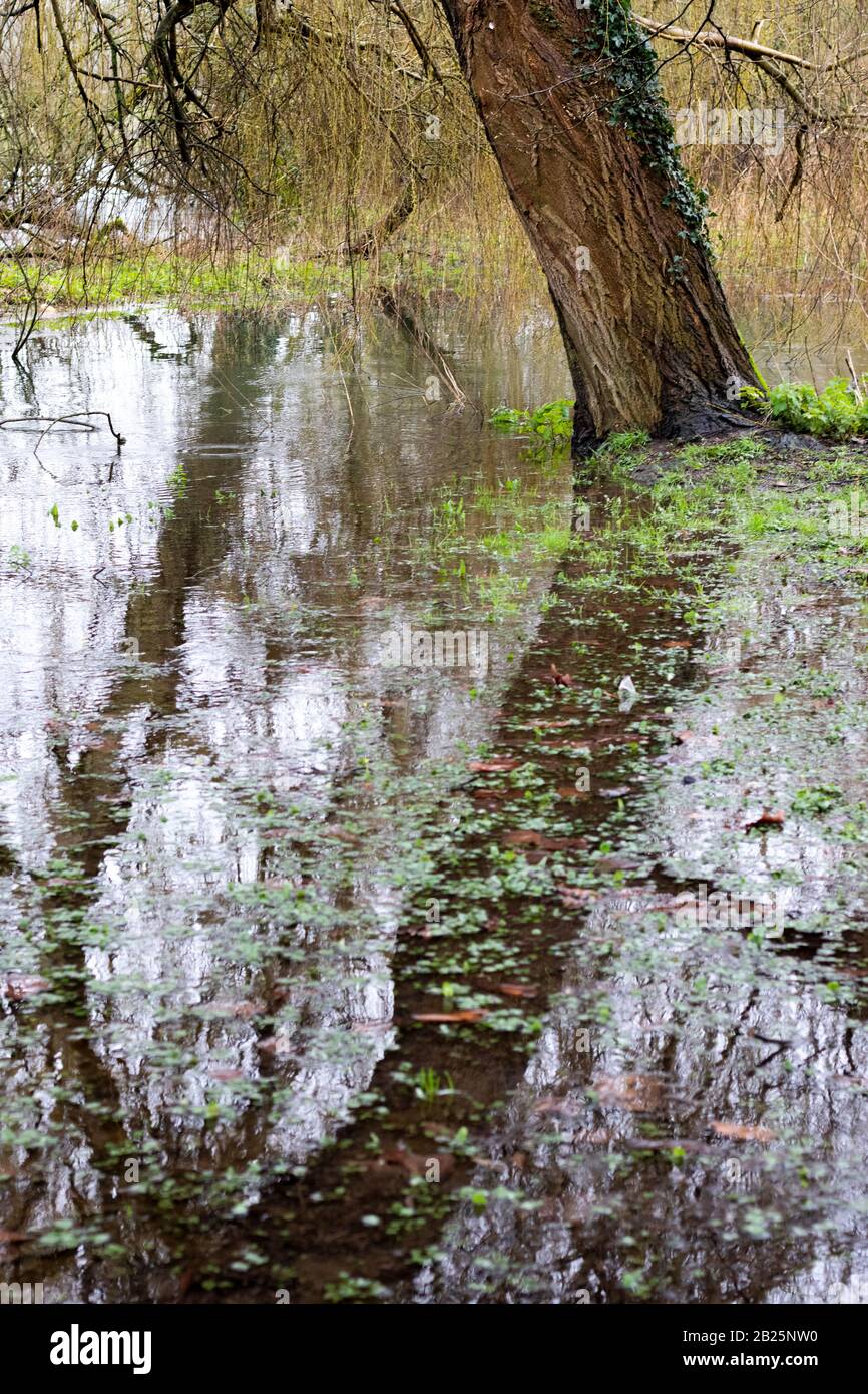 Flooded river after heavy storm rainfall flooding adjacent farmland ...