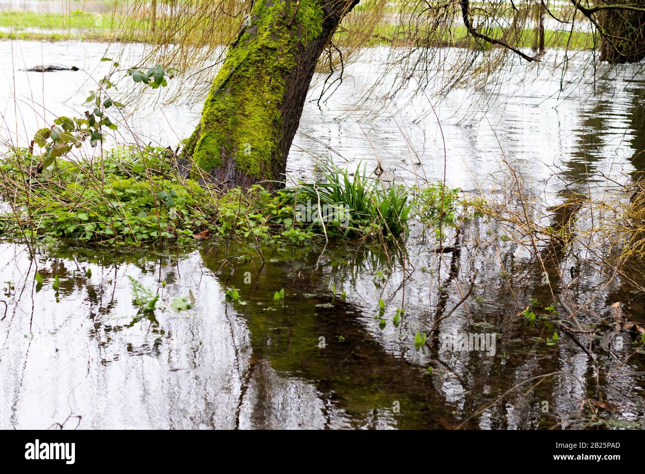 Flooded river after heavy storm rainfall flooding adjacent farmland ...