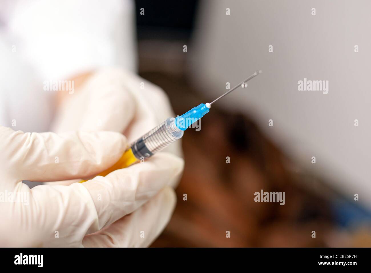 veterinary ambulance.veterinarian doctor is preparing to give an ...