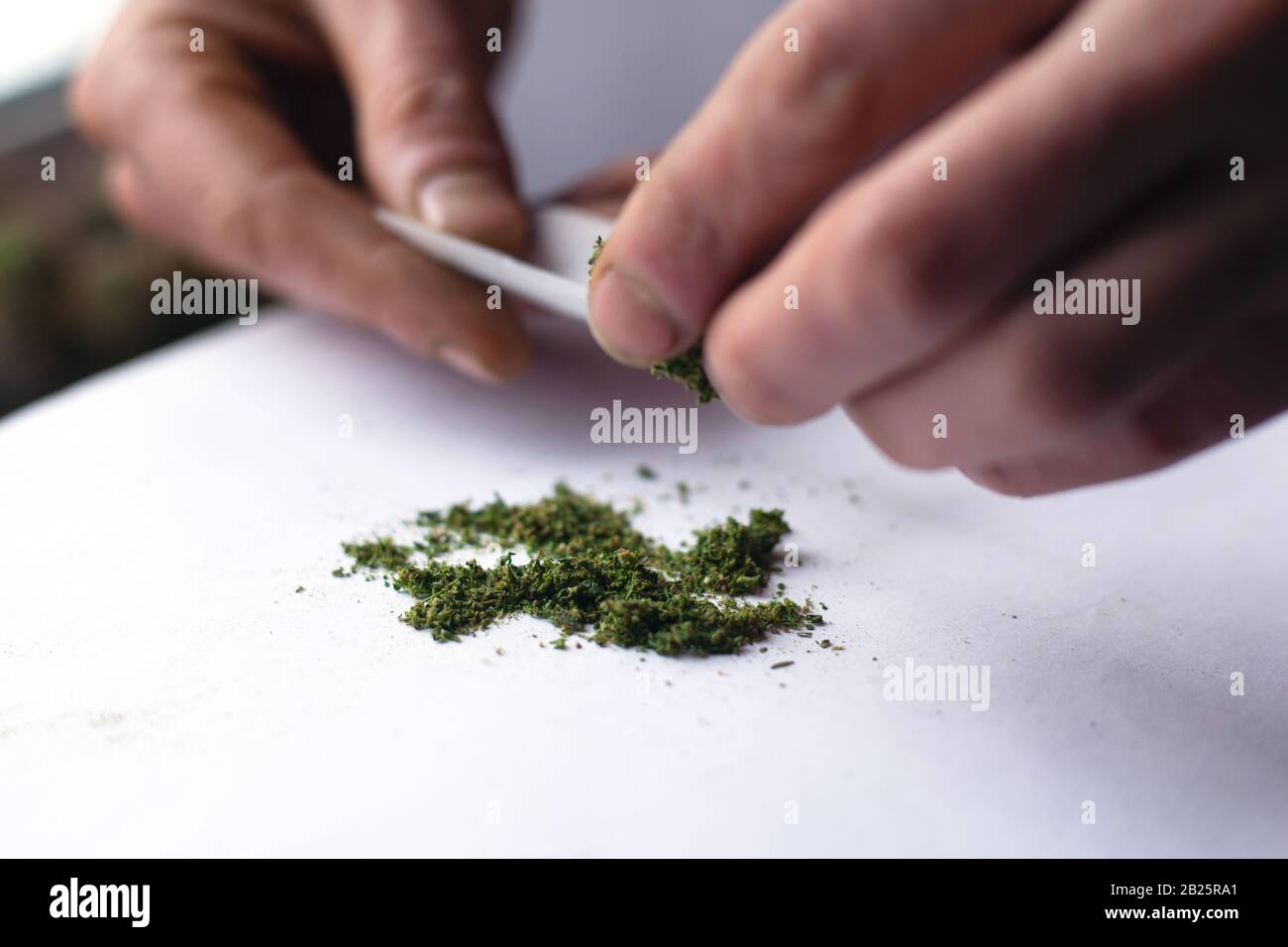 Canabis indica hi-res stock photography and images - Alamy