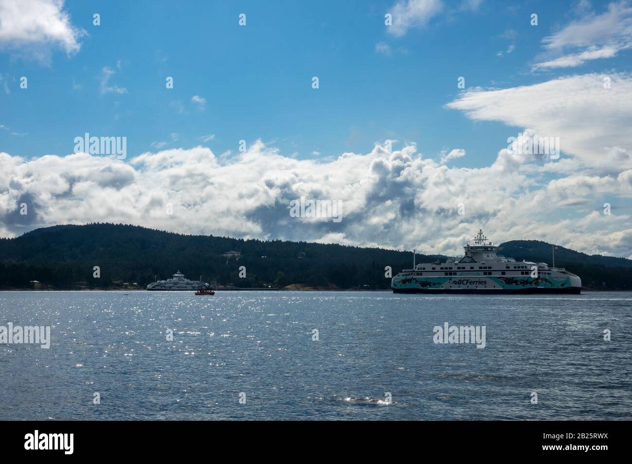 Orcas in the the Salish Sea, British Columbia, Canada Stock Photo - Alamy
