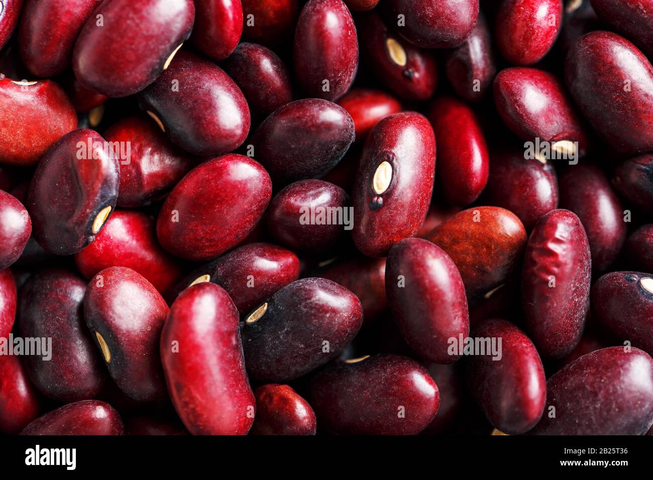 Closeup of a grain of red bean seeds. The texture of the legumes. Close ...
