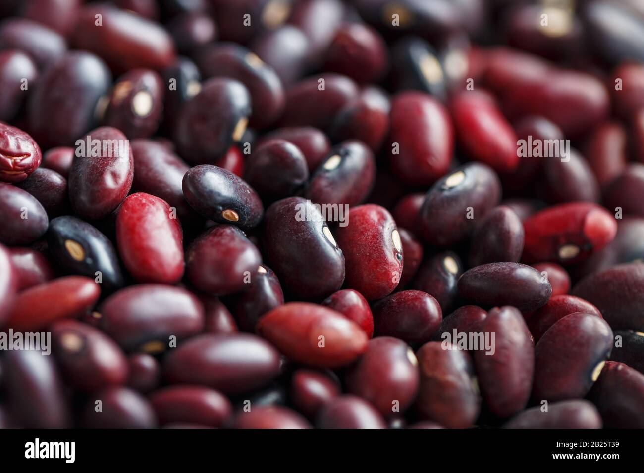 Closeup of a grain of red bean seeds. The texture of the legumes. Close ...