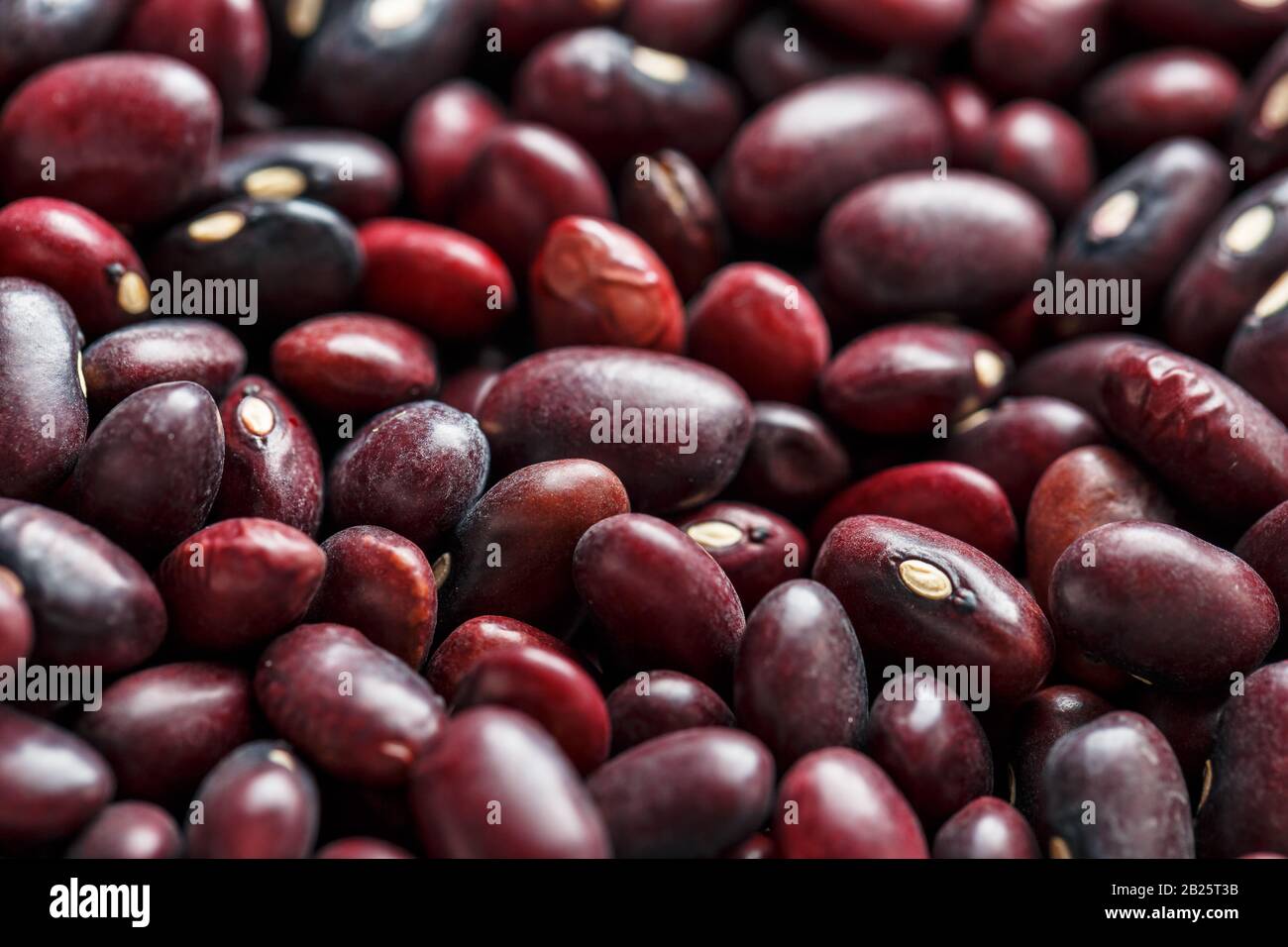 Closeup of a grain of red bean seeds. The texture of the legumes. Close ...