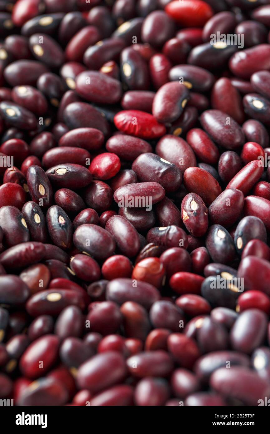 Closeup of a grain of red bean seeds. The texture of the legumes. Close ...