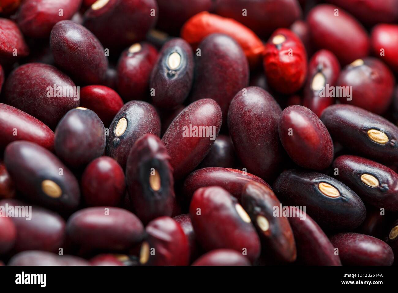 Closeup of a grain of red bean seeds. The texture of the legumes. Close ...