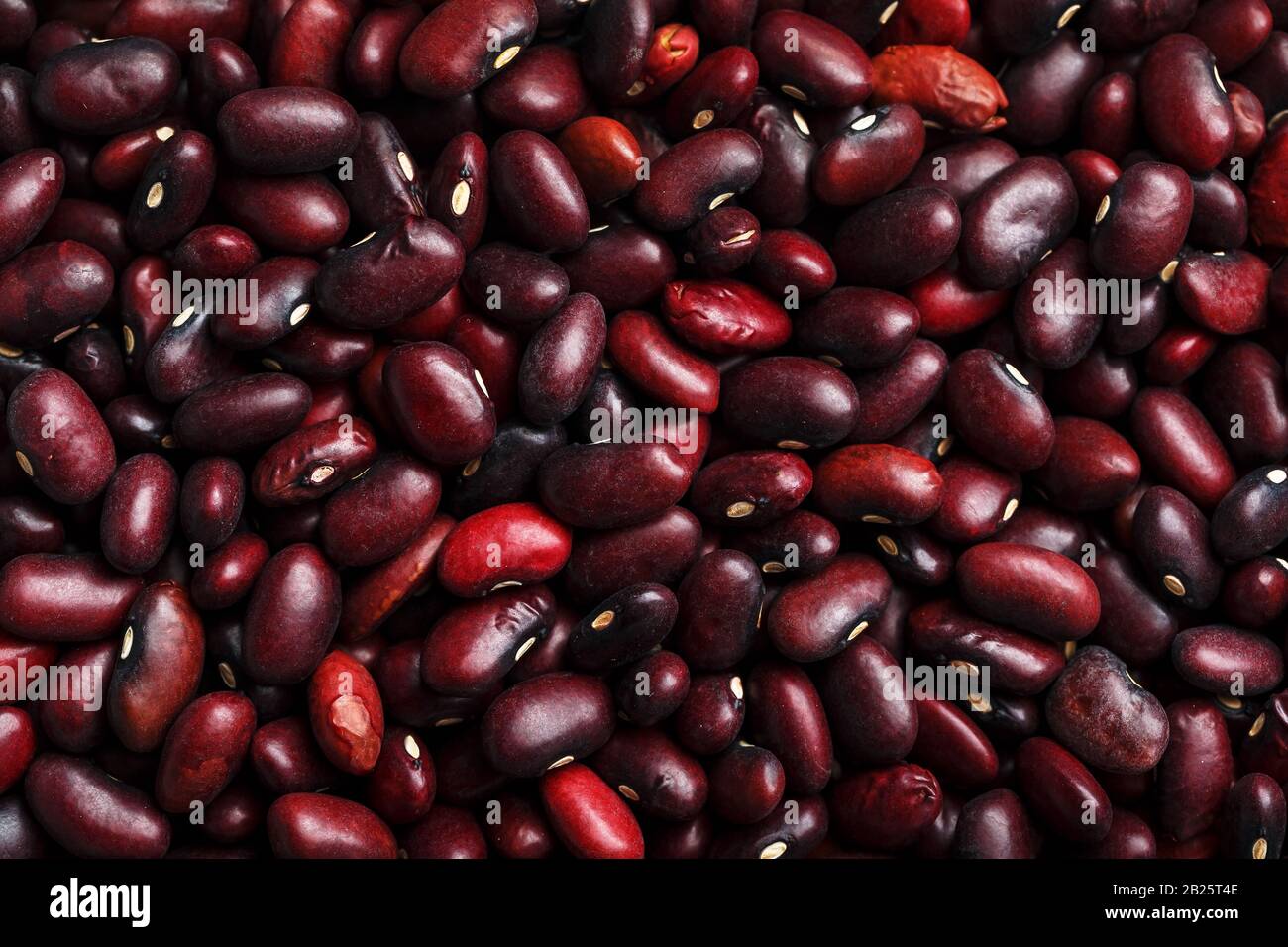 Closeup of a grain of red bean seeds. The texture of the legumes. Close ...