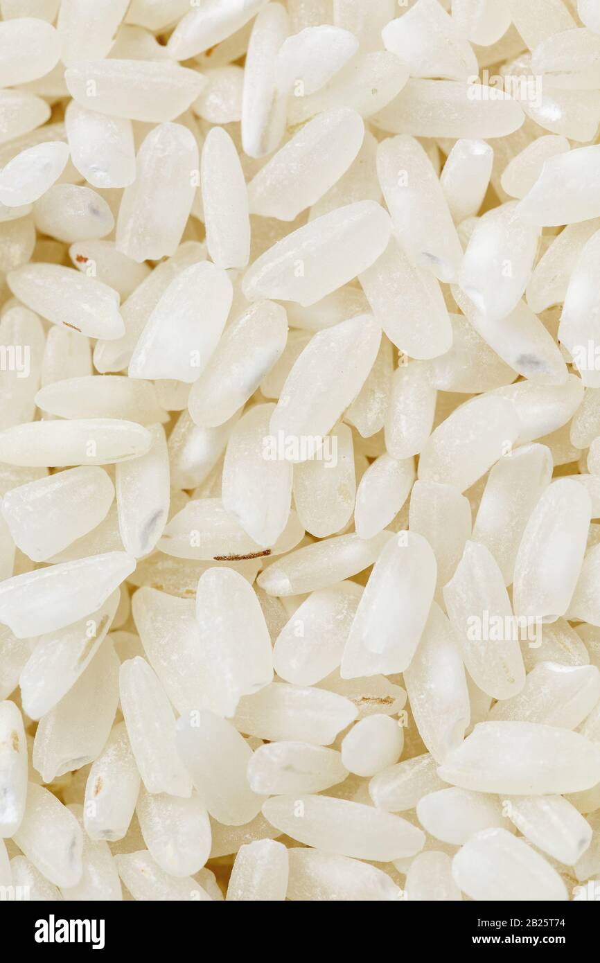 White rice background and texture. Rice grain. View from above. Close ...