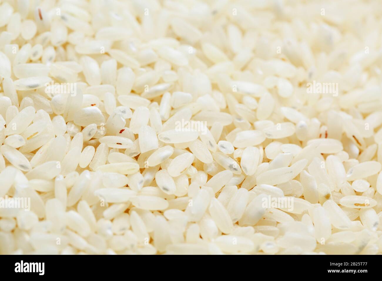 White rice background and texture. Rice grain. View from above. Close ...