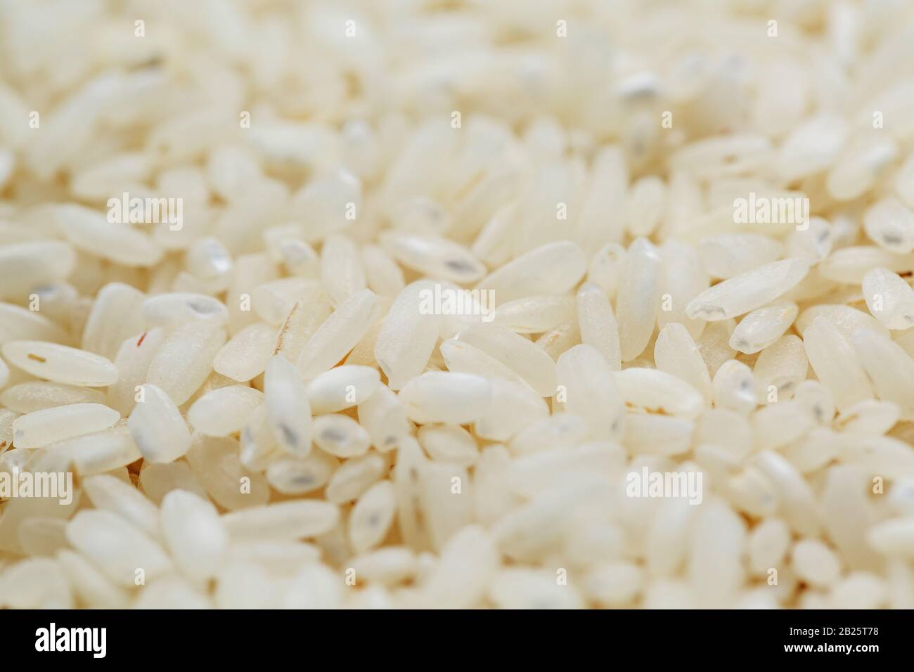 White rice background and texture. Rice grain. View from above. Close ...