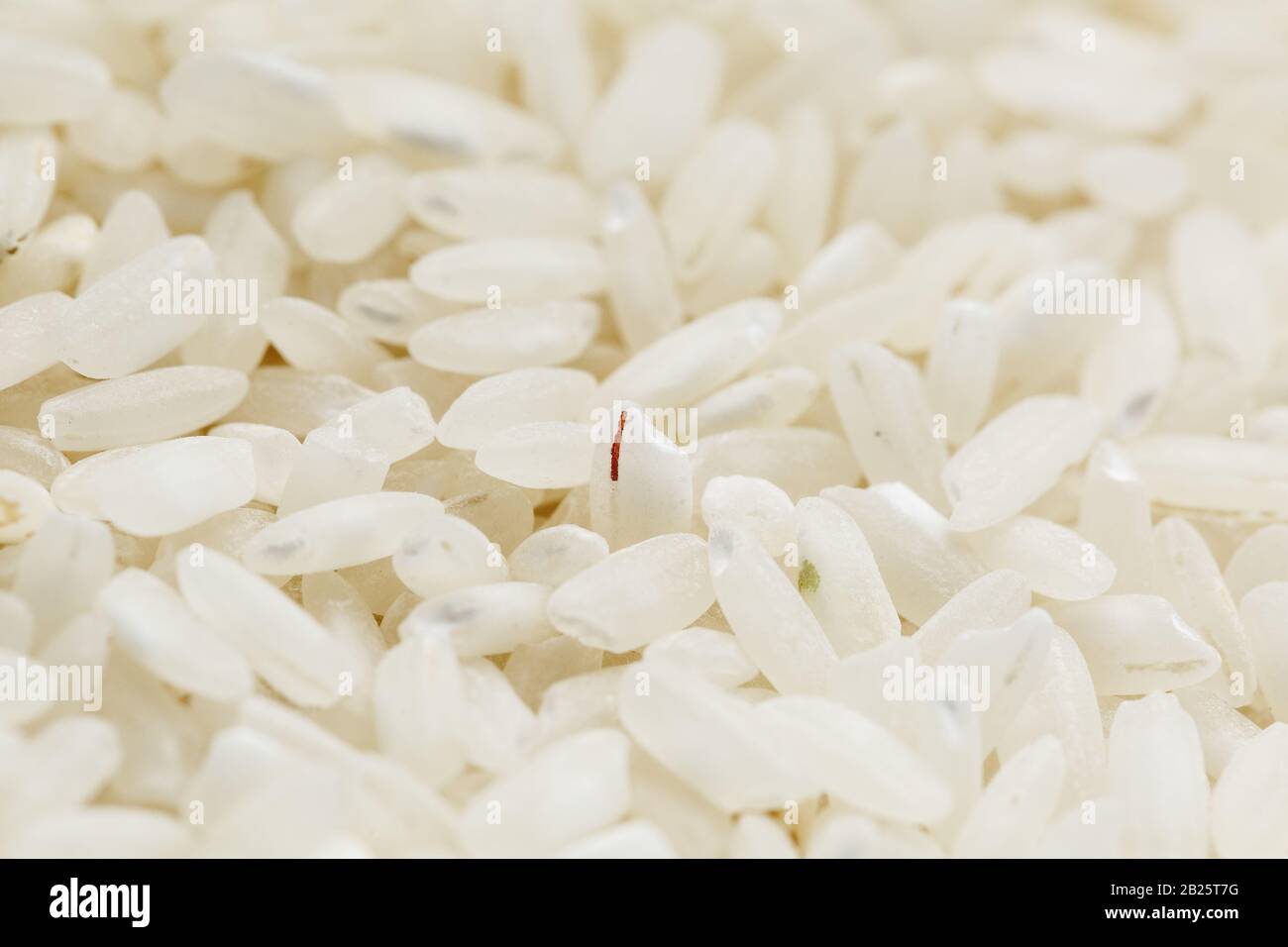 White rice background and texture. Rice grain. View from above. Close ...