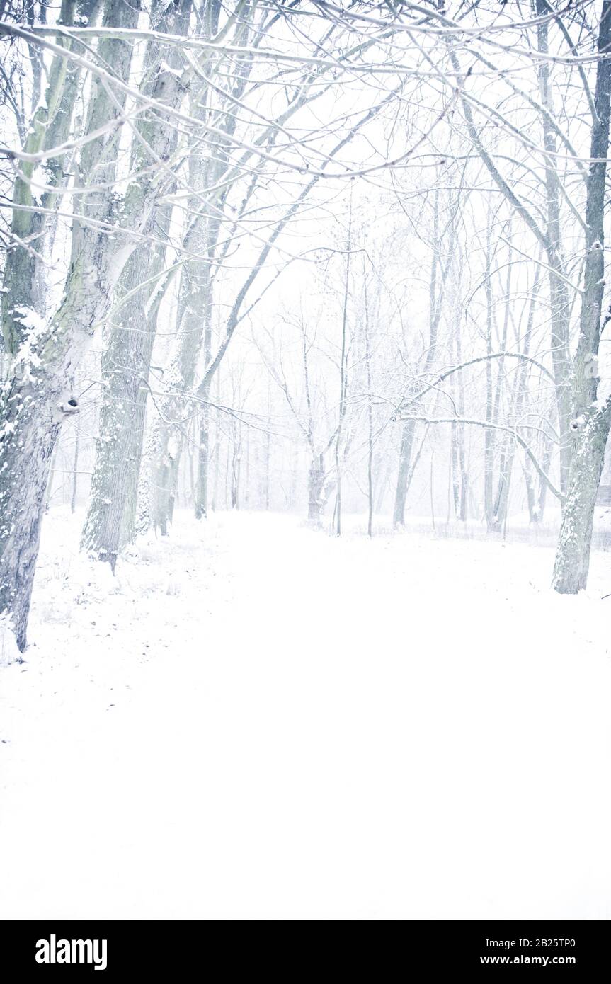 Winter High Resolution Stock Photography and Images - Alamy