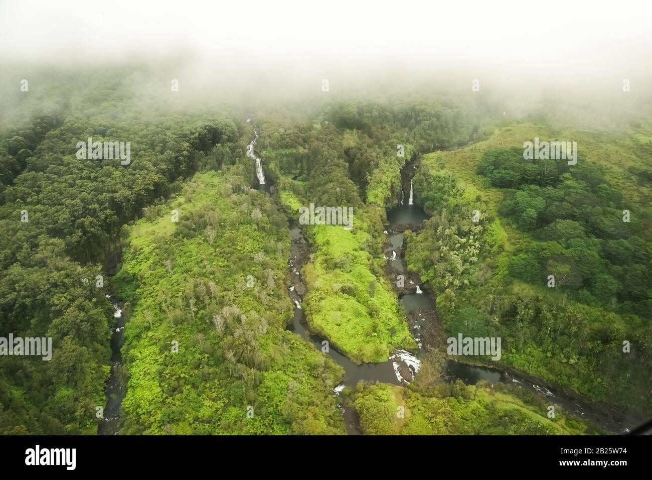 Aerial view of Hawaii with a landscape of deep green vegetation, rivers ...