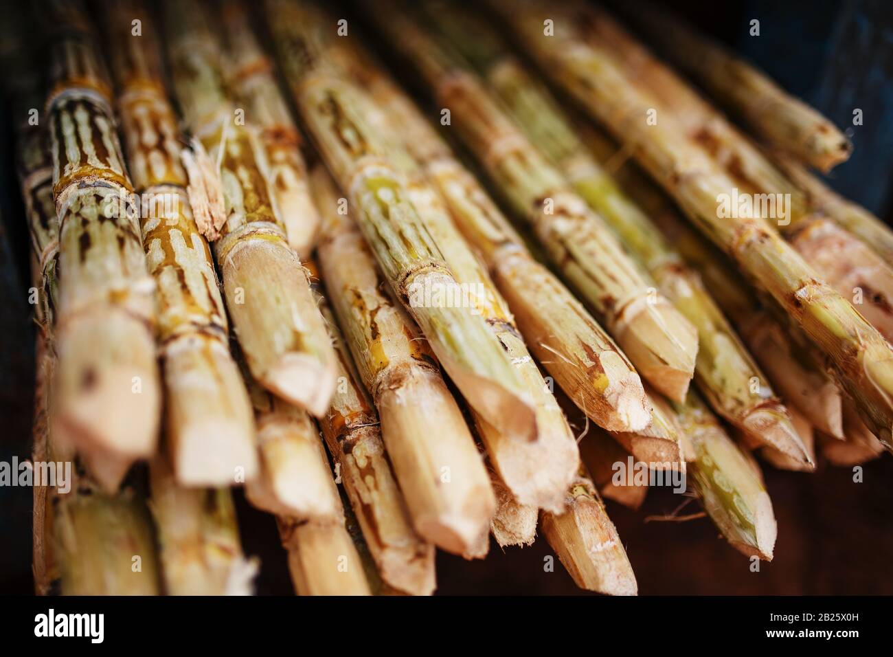 Sugar cane is a large pile before squeezing a sugar drink. Stack of ...
