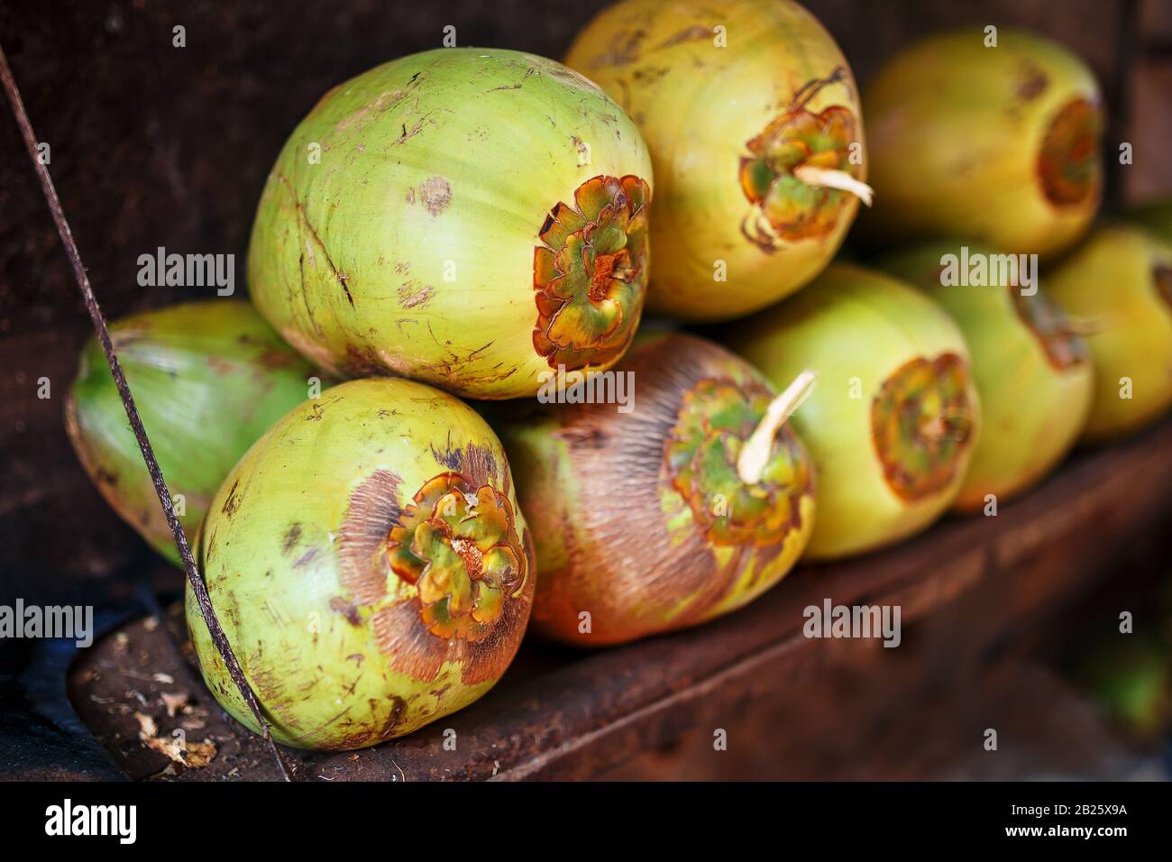 Lots of fresh green coconuts lined with a stack. Close-up, India ...