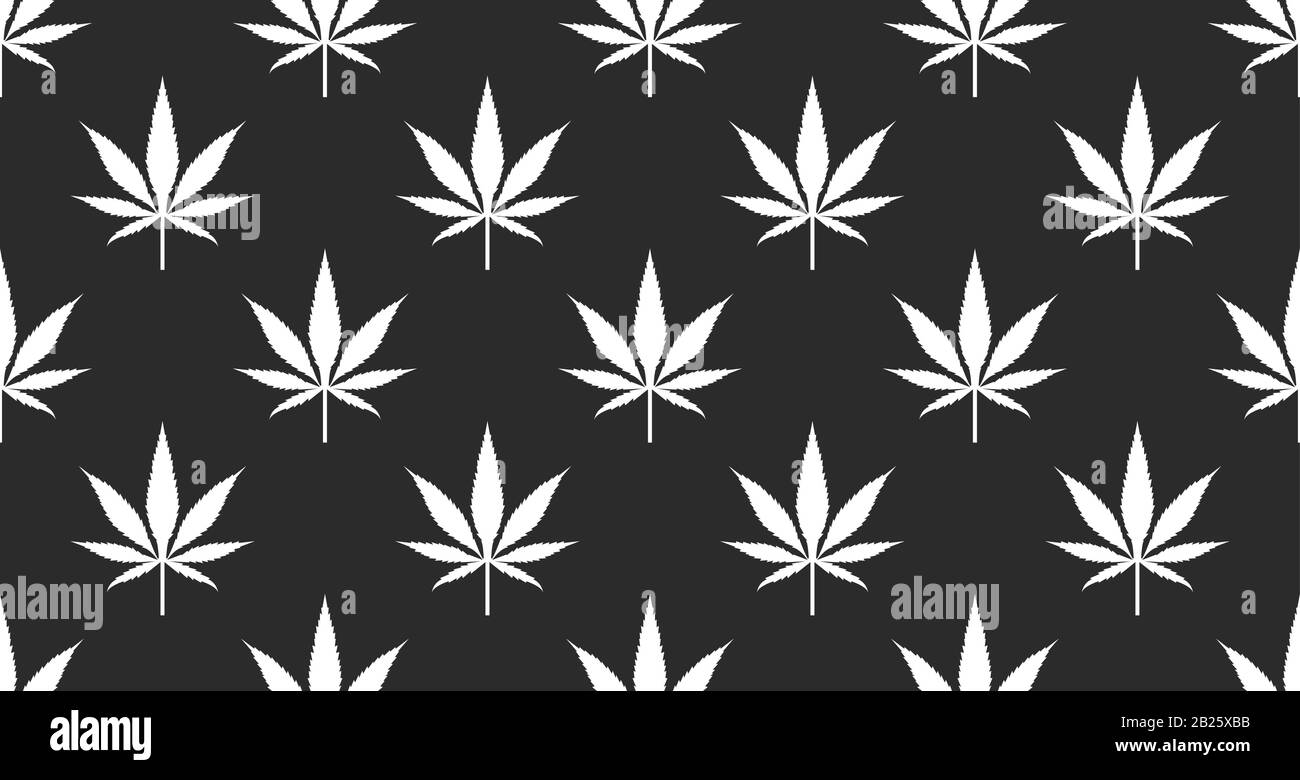 Seamless black and white pattern with leaves of marijuana, background with cannabis. Vector ...