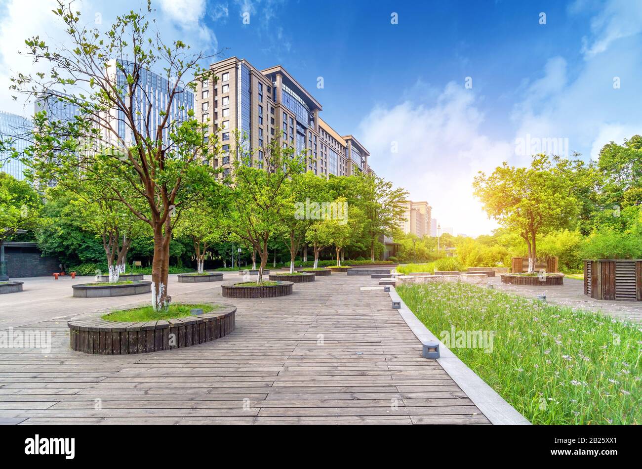 High-rise buildings near the lawn, Hangzhou, China Stock Photo - Alamy