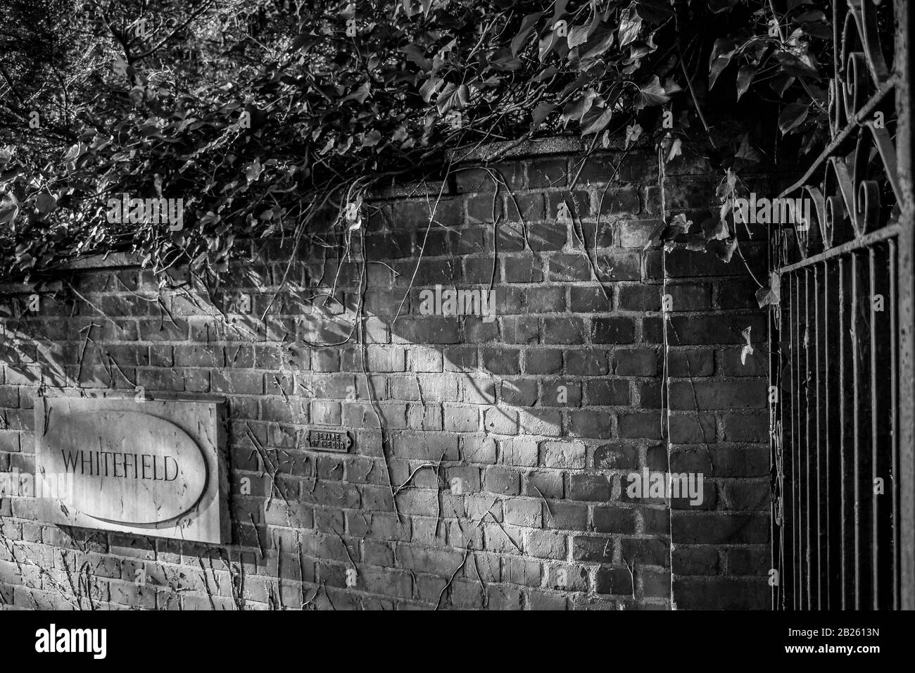 Time out in nature Black and White Stock Photos & Images - Alamy