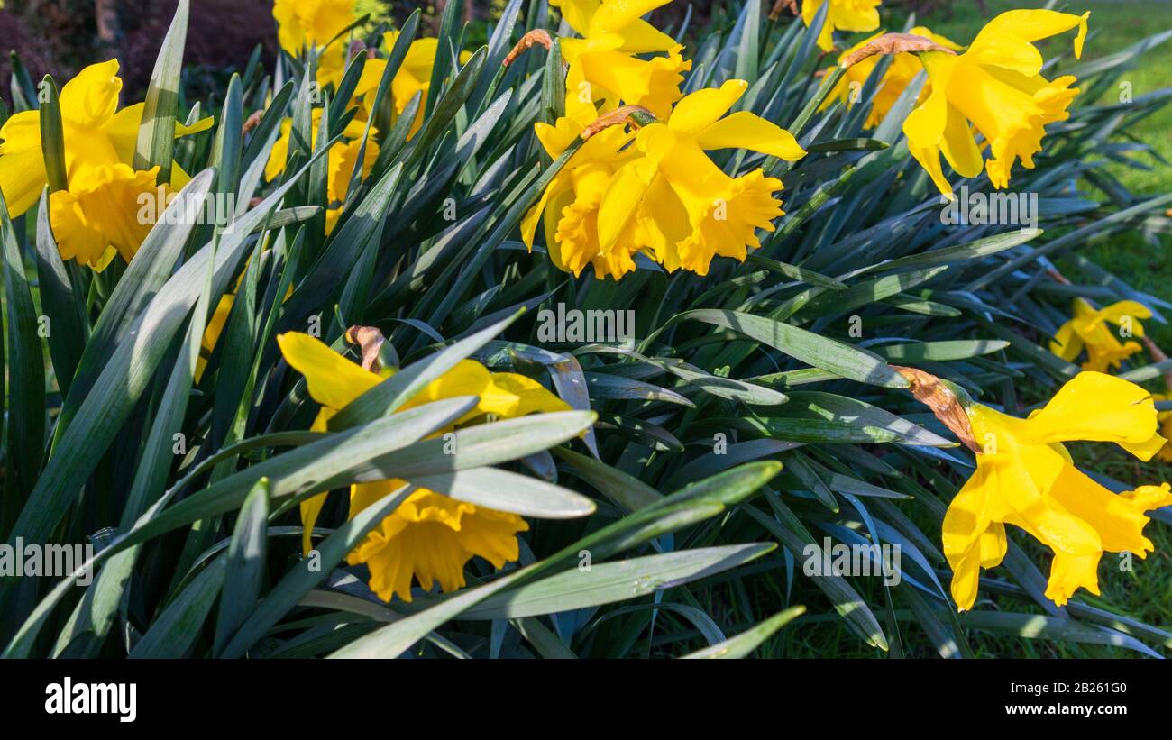 Meteorological Spring High Resolution Stock Photography and Images - Alamy
