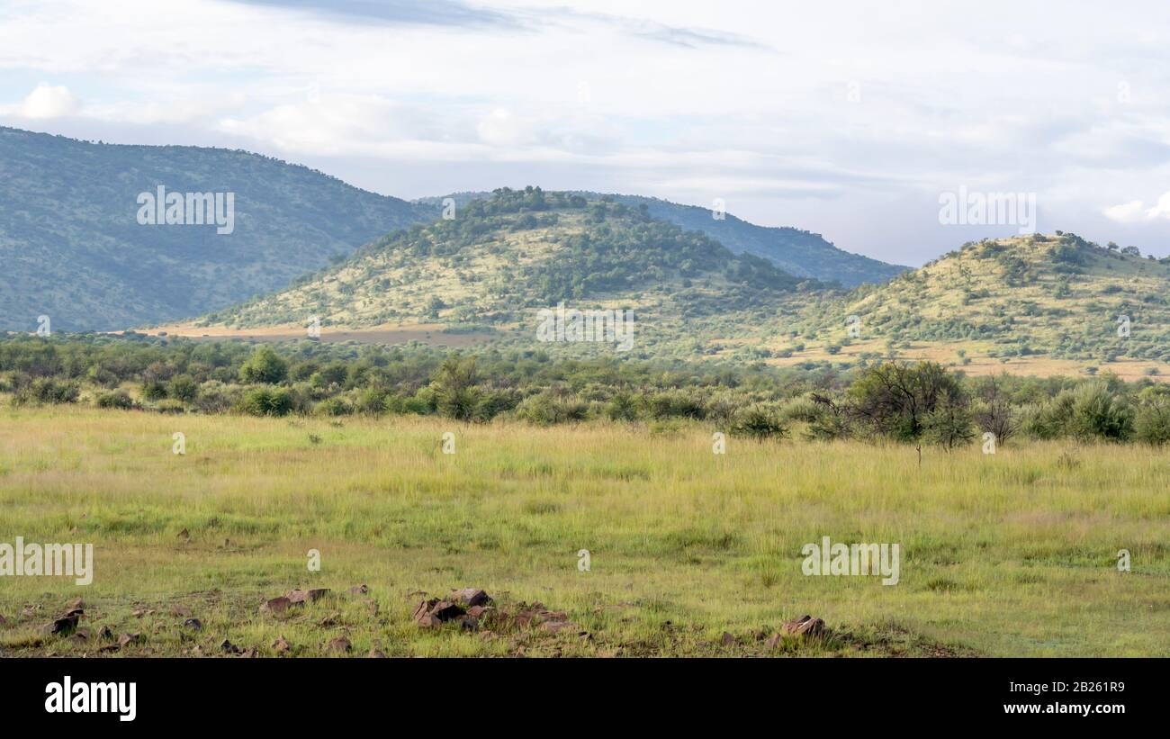 South Africa's savanna at the Pilanesberg National Park, Beautiful ...