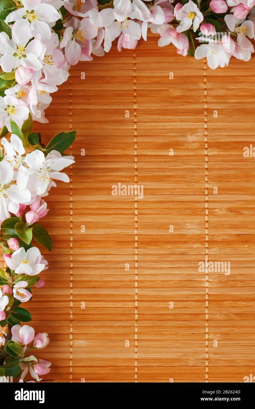 Frame of spring flowers of sakura on bamboo background. Beautiful ...
