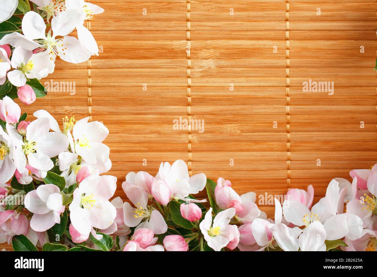 Frame of spring flowers of sakura on bamboo background. Beautiful ...