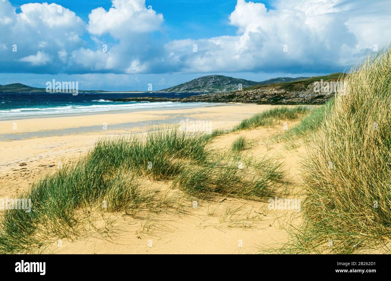 Dune grass, sand and sea, Horgabost beach (Traigh Iar) on the Isle of ...