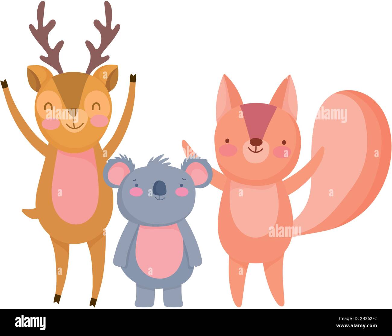 Koala squirrel Cut Out Stock Images & Pictures - Alamy