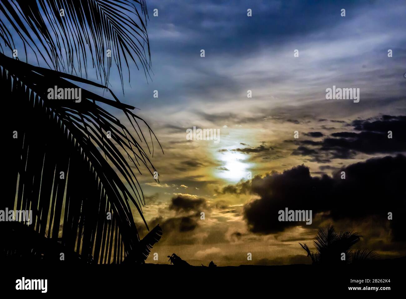 silhouette of coconut leaves during sunset in Lagos, Nigeria Stock ...
