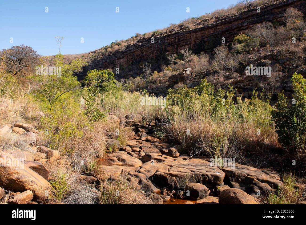 Lapalala reserve hi-res stock photography and images - Alamy