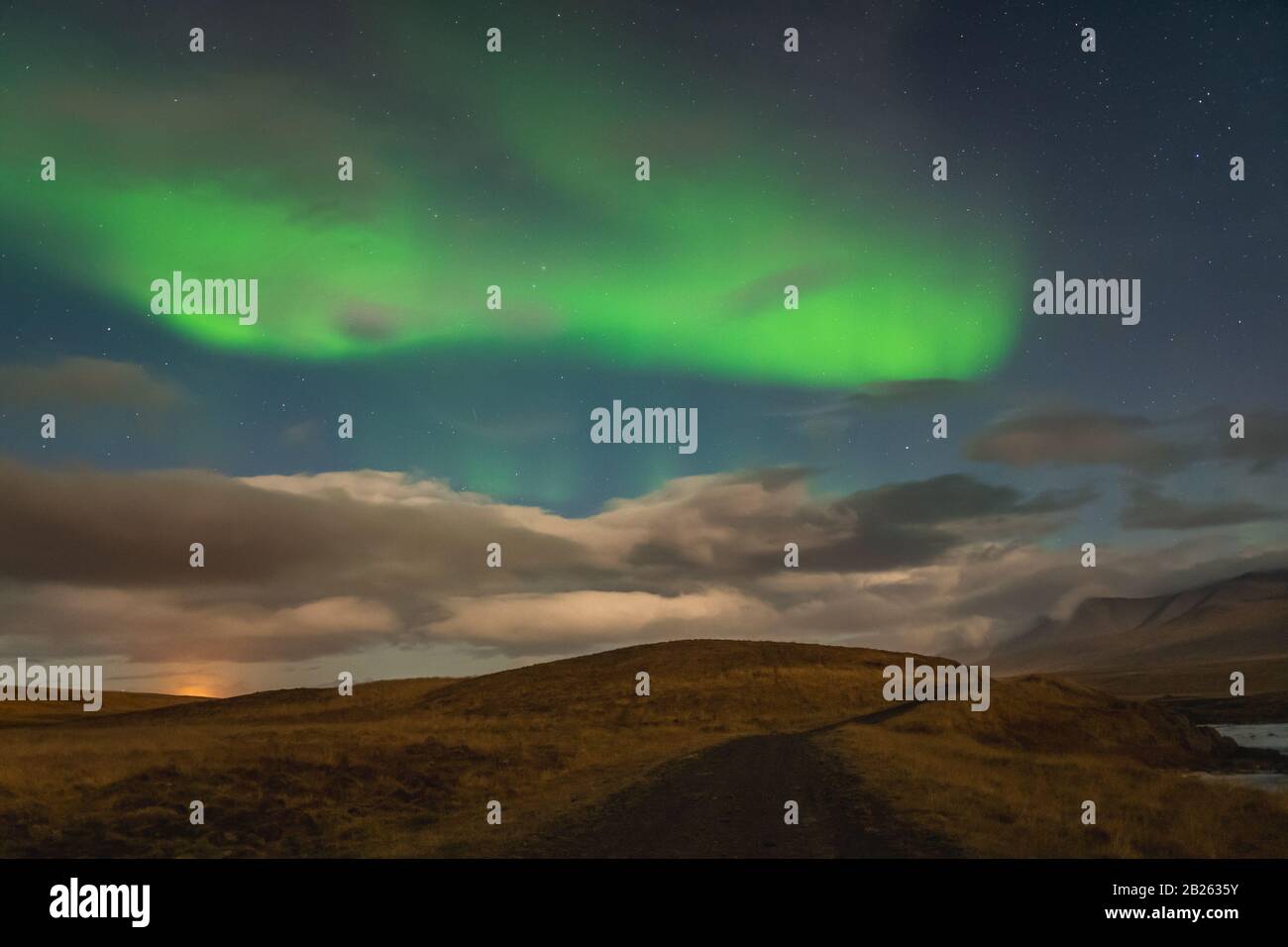 Aurora in Iceland northern lights bright beams rising in green beams ...