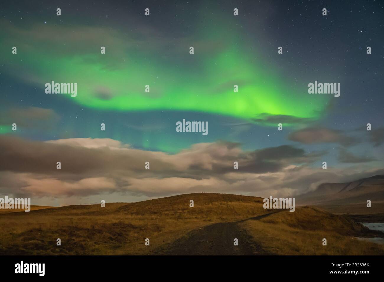 Aurora in Iceland northern lights bright beams rising in green beams ...