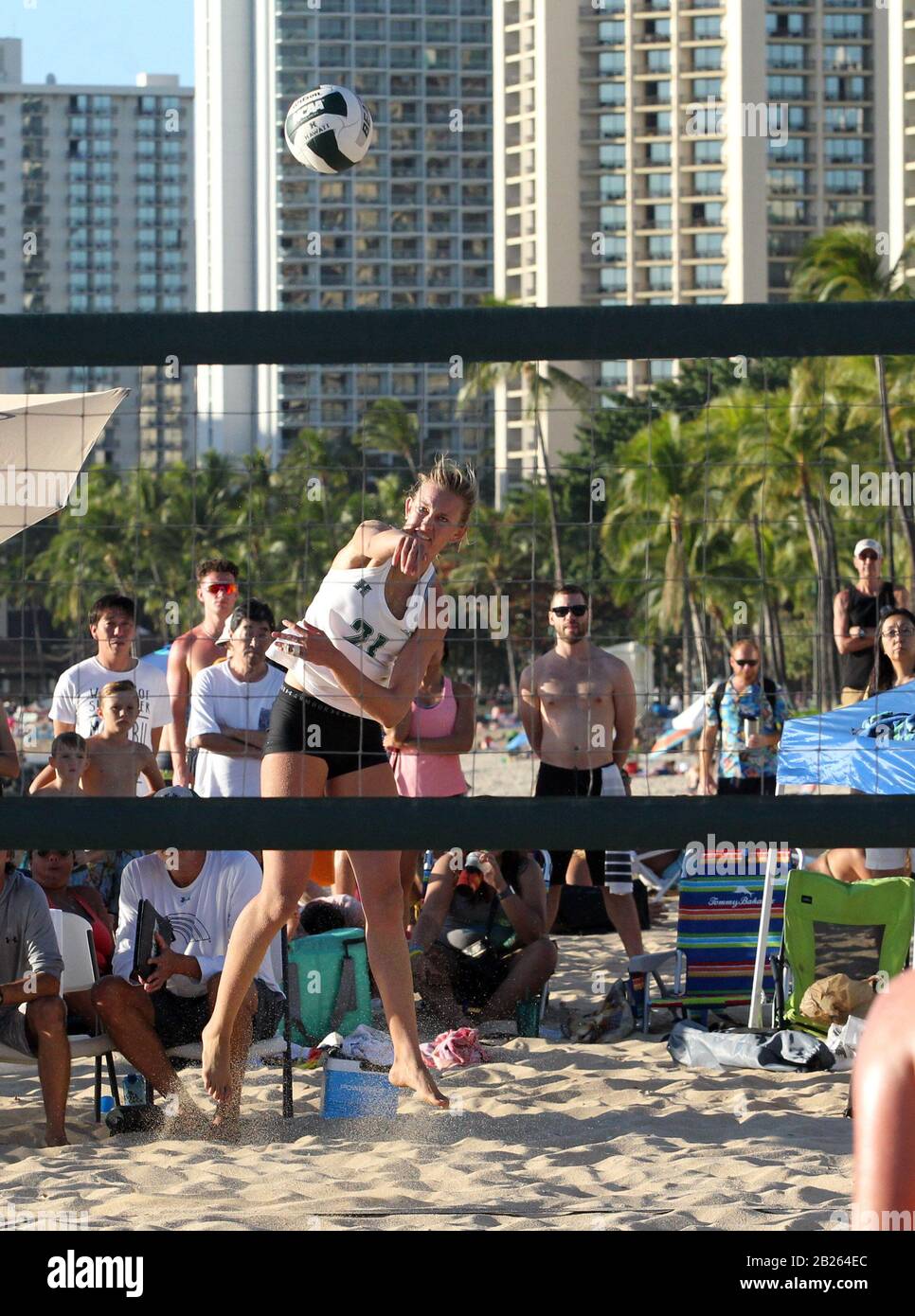 Ozee hi-res stock photography and images - Alamy