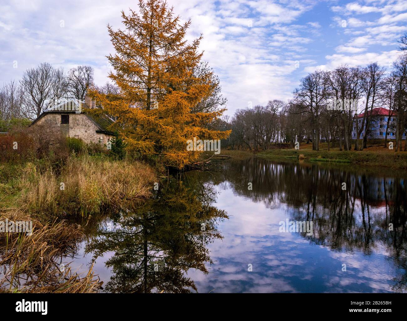 Larch roof hi-res stock photography and images - Alamy