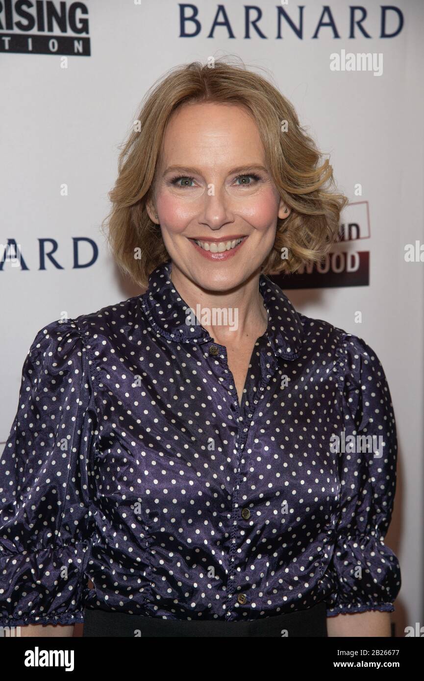 New York, USA. 29th Feb, 2020. Amy Ryan attends the Premiere of Netflix ...
