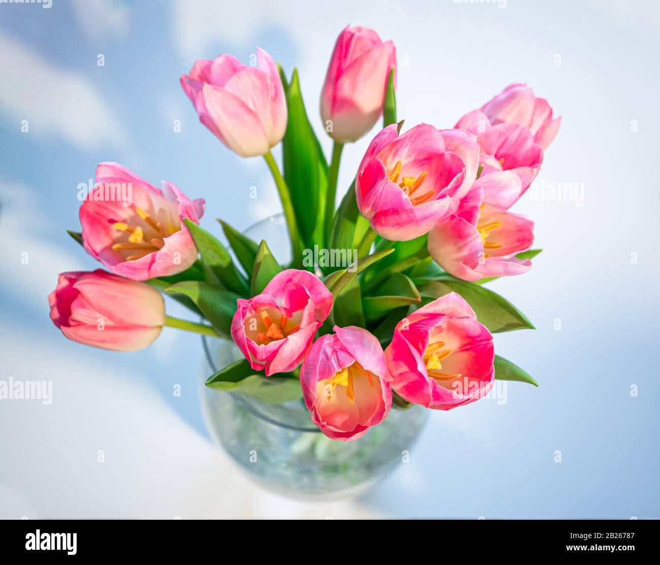 Flower Vase Top View