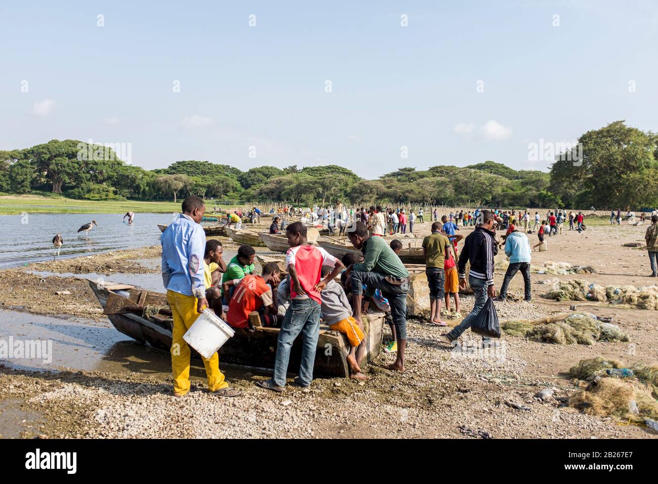 Hawassa Fish Market - with fisherman selling their catch from Lake ...