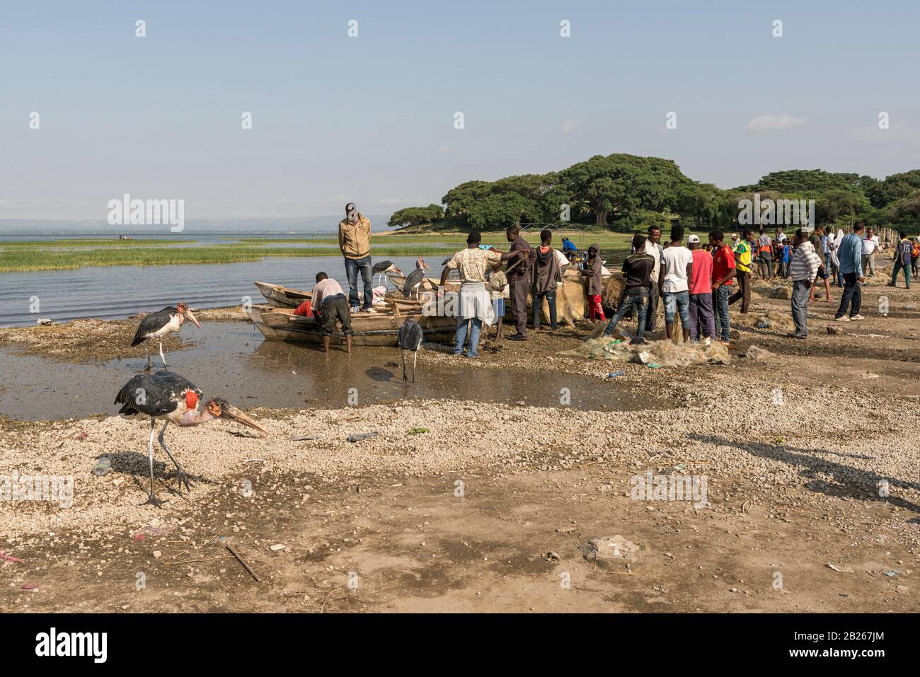 Hawassa Fish Market - with fisherman selling their catch from Lake ...