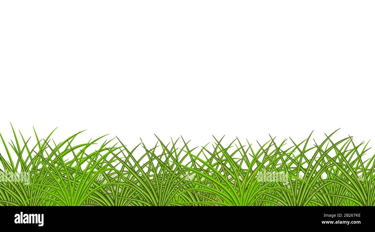 Image of green realistic grass. Profile view. Lawn. Vector illustration ...
