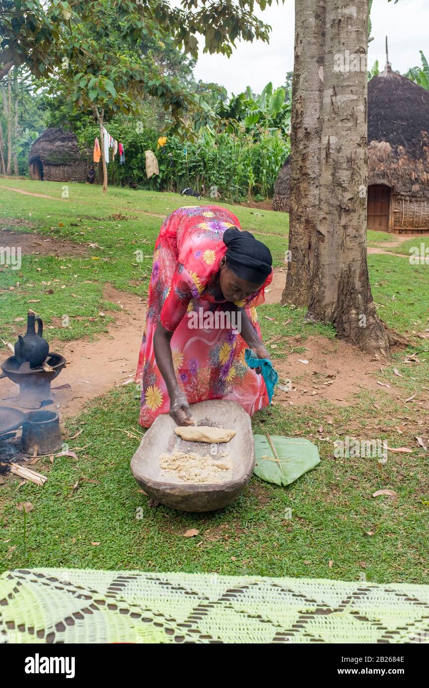 Making of false banana bread-kocho - from the enset plant in a village ...