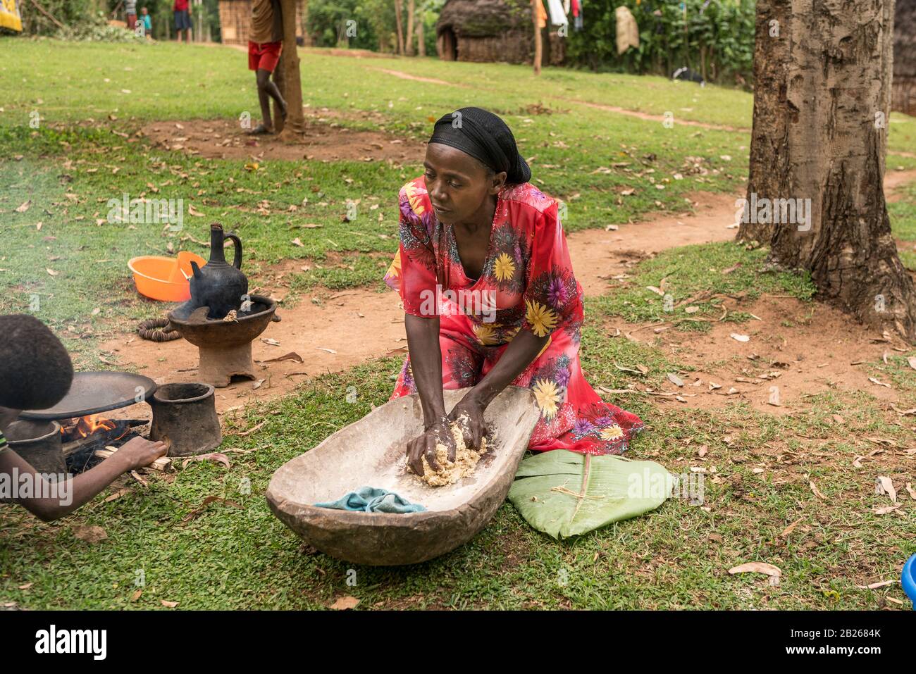 Making of false banana bread-kocho - from the enset plant in a village ...