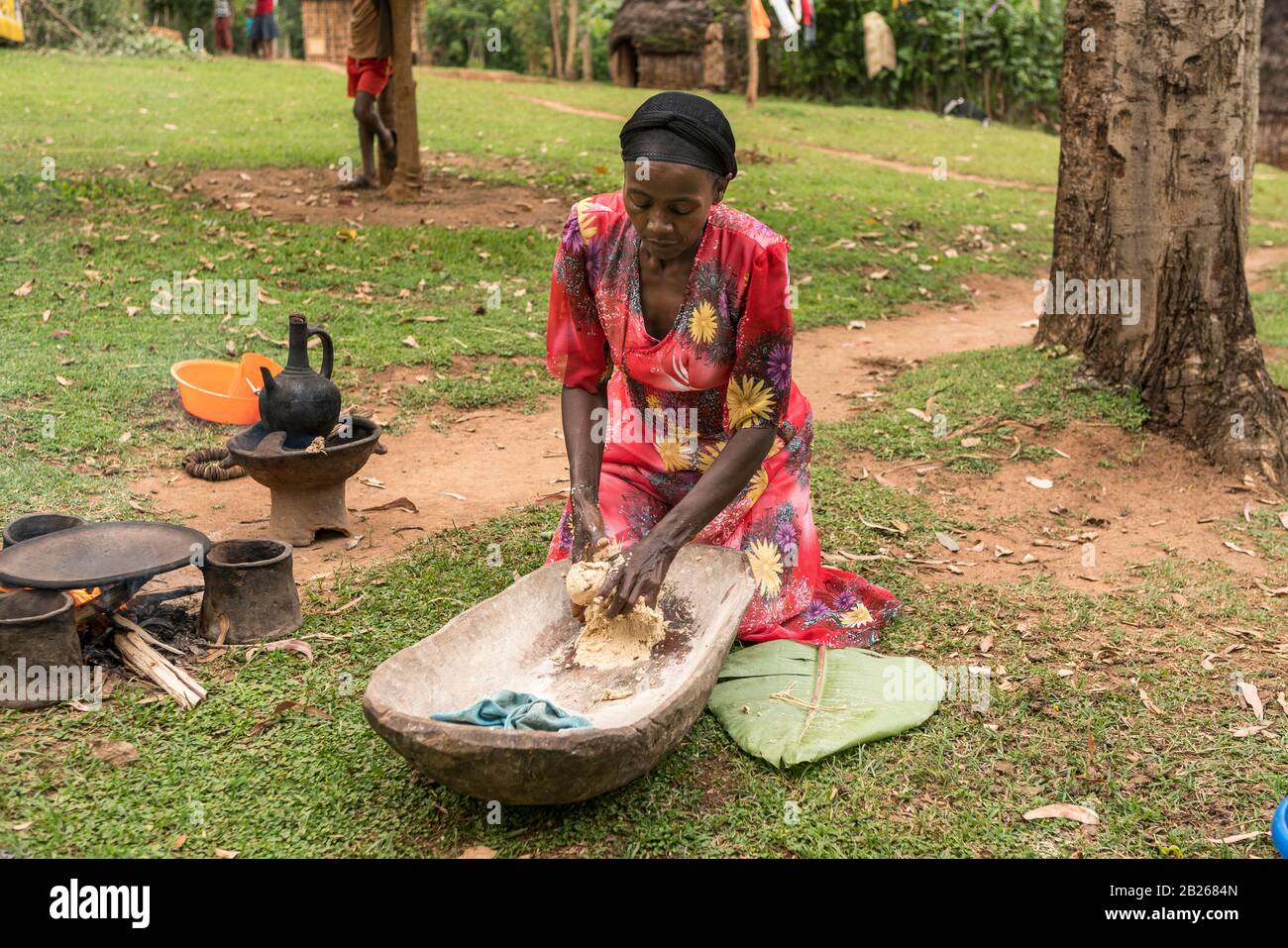 Making of false banana bread-kocho - from the enset plant in a village ...