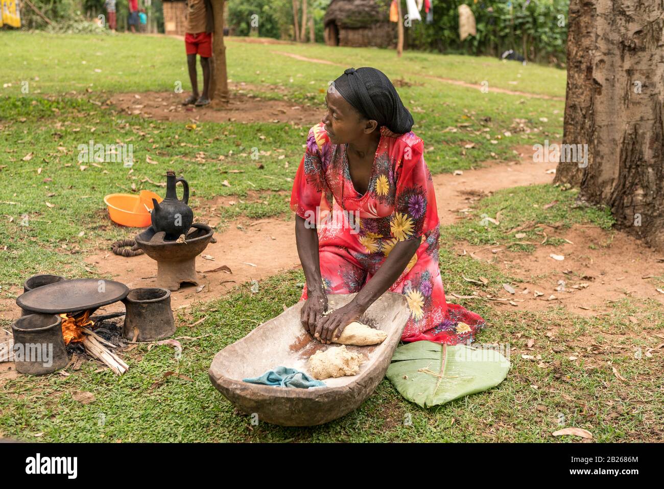 Making of false banana bread-kocho - from the enset plant in a village ...