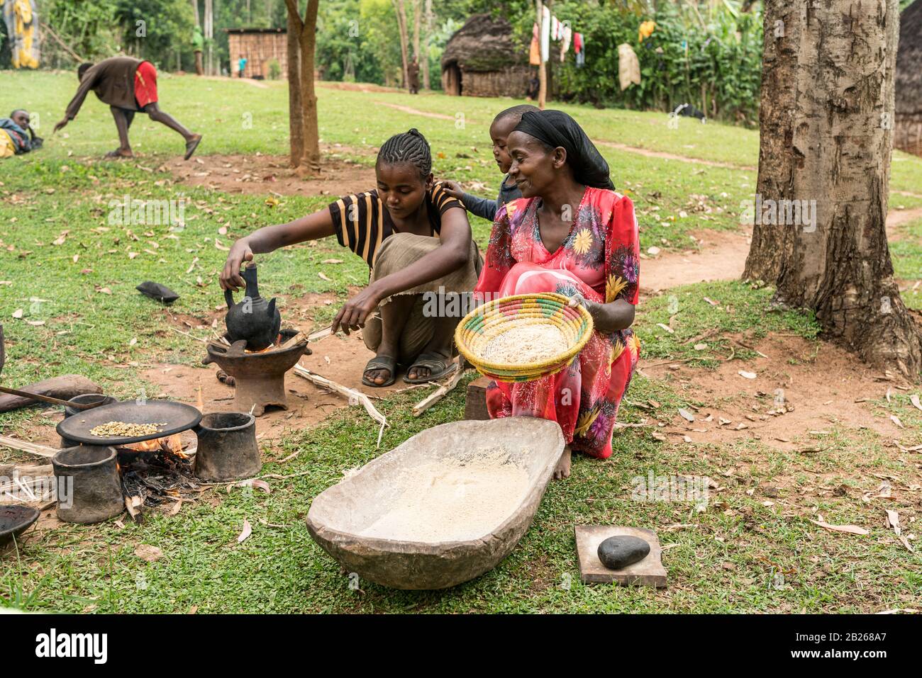 Making of false banana bread-kocho - from the enset plant in a village ...