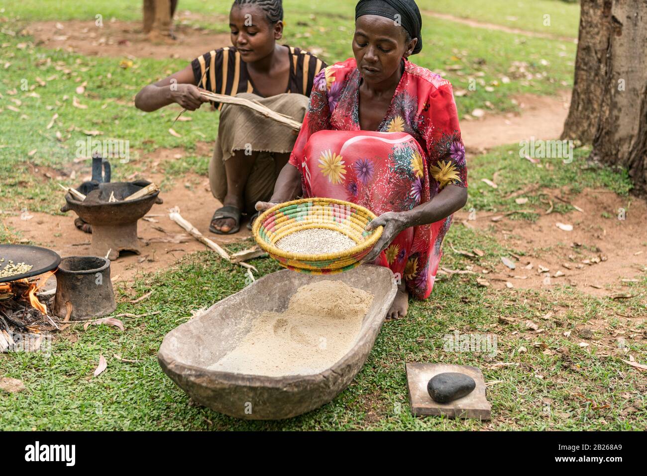 Making of false banana bread-kocho - from the enset plant in a village ...