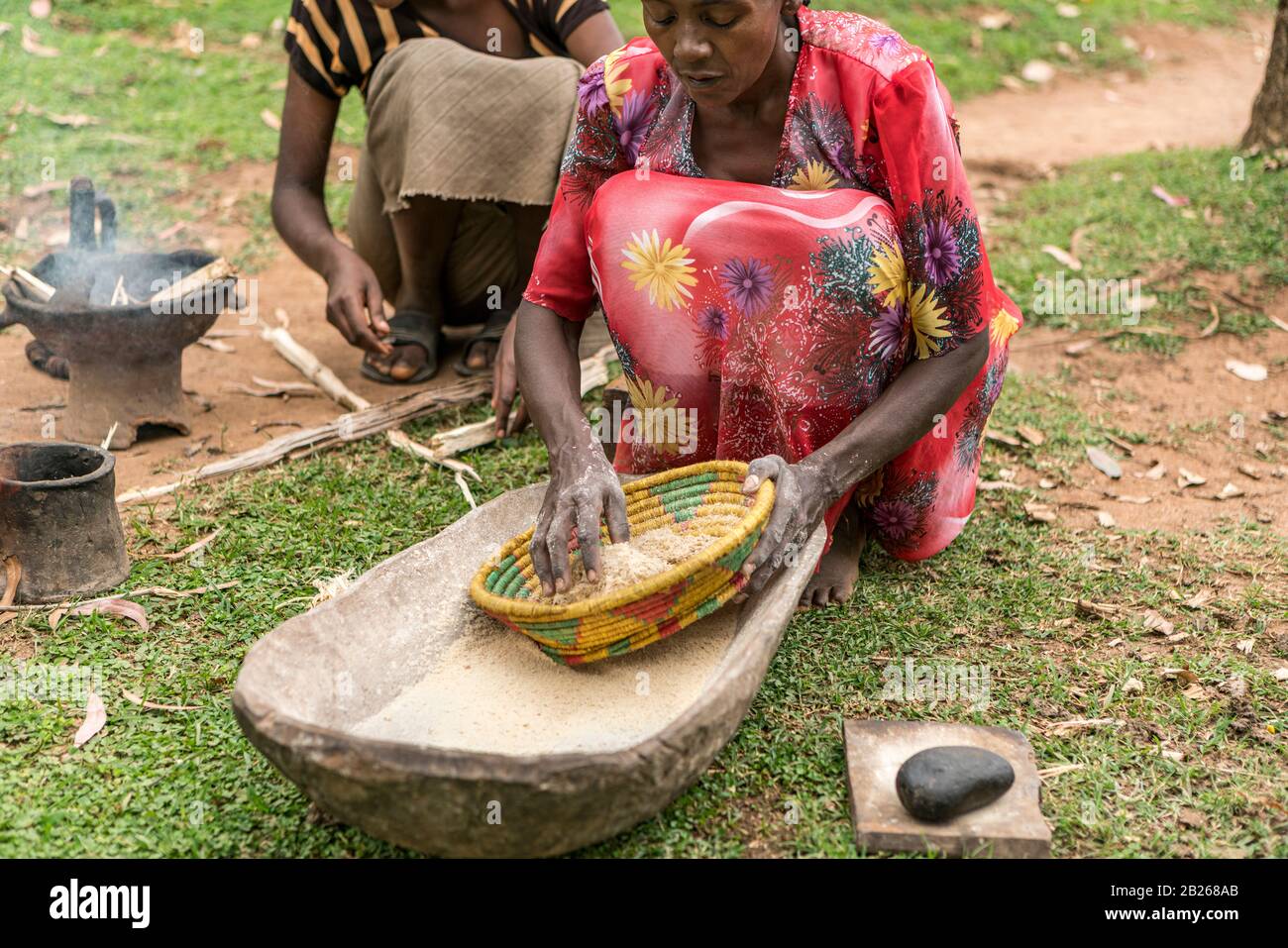 Making of false banana bread-kocho - from the enset plant in a village ...