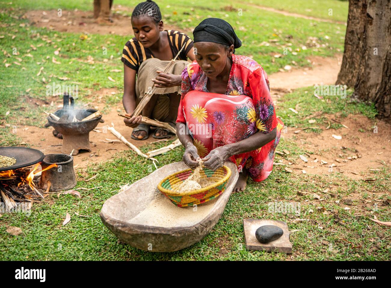 Making of false banana bread-kocho - from the enset plant in a village ...