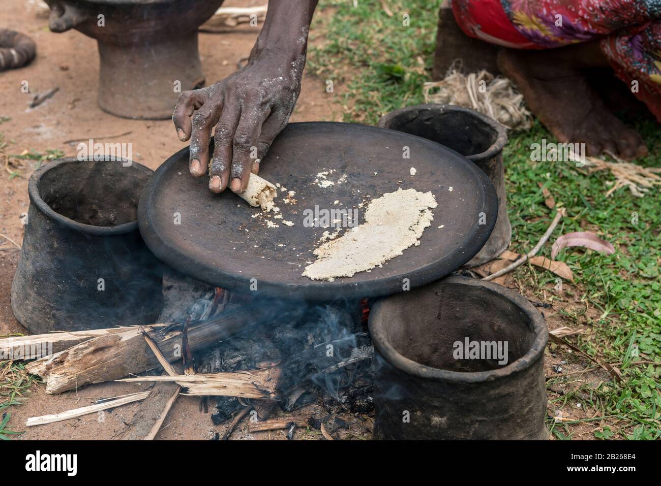 Making of false banana bread-kocho - from the enset plant in a village ...
