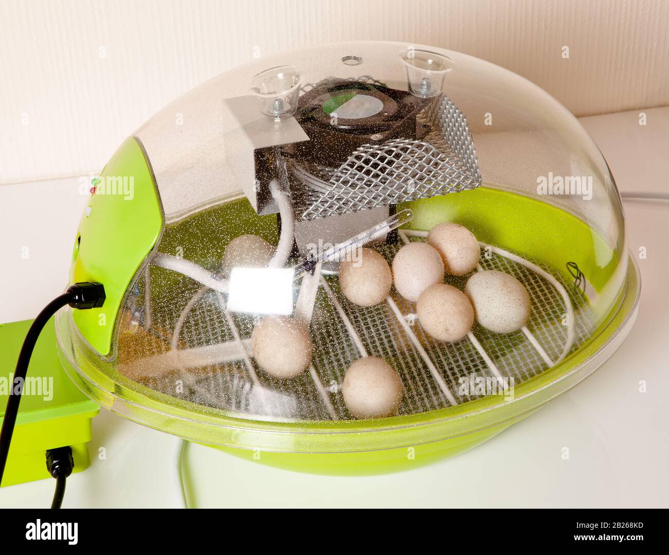 Small modern incubator for various egg sizes with turning motor and ...